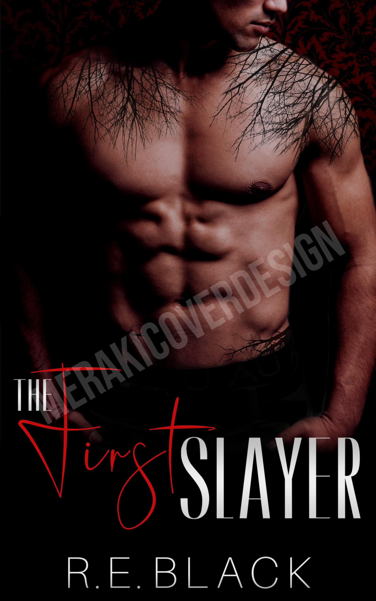 Portfolio - MERAKI COVER DESIGN